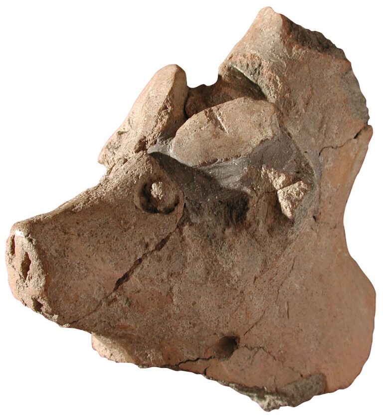 Про походження табу на свинину - FIESTACLUB